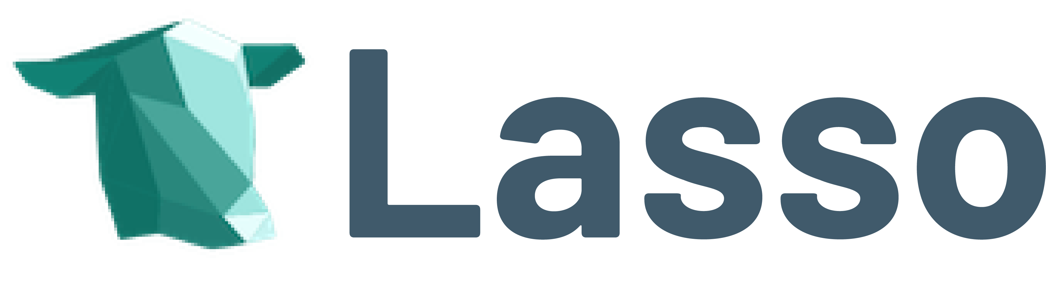 Lasso Grant Application